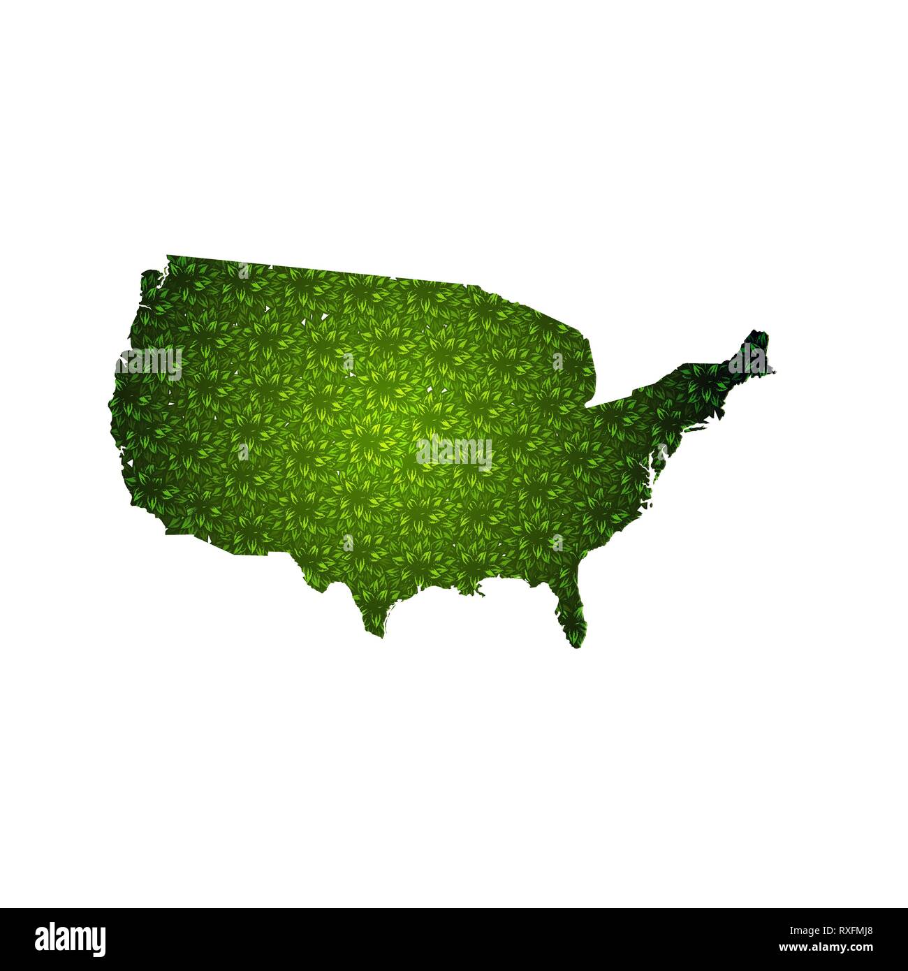 United States of America map with green leaves inside isolated on white ...