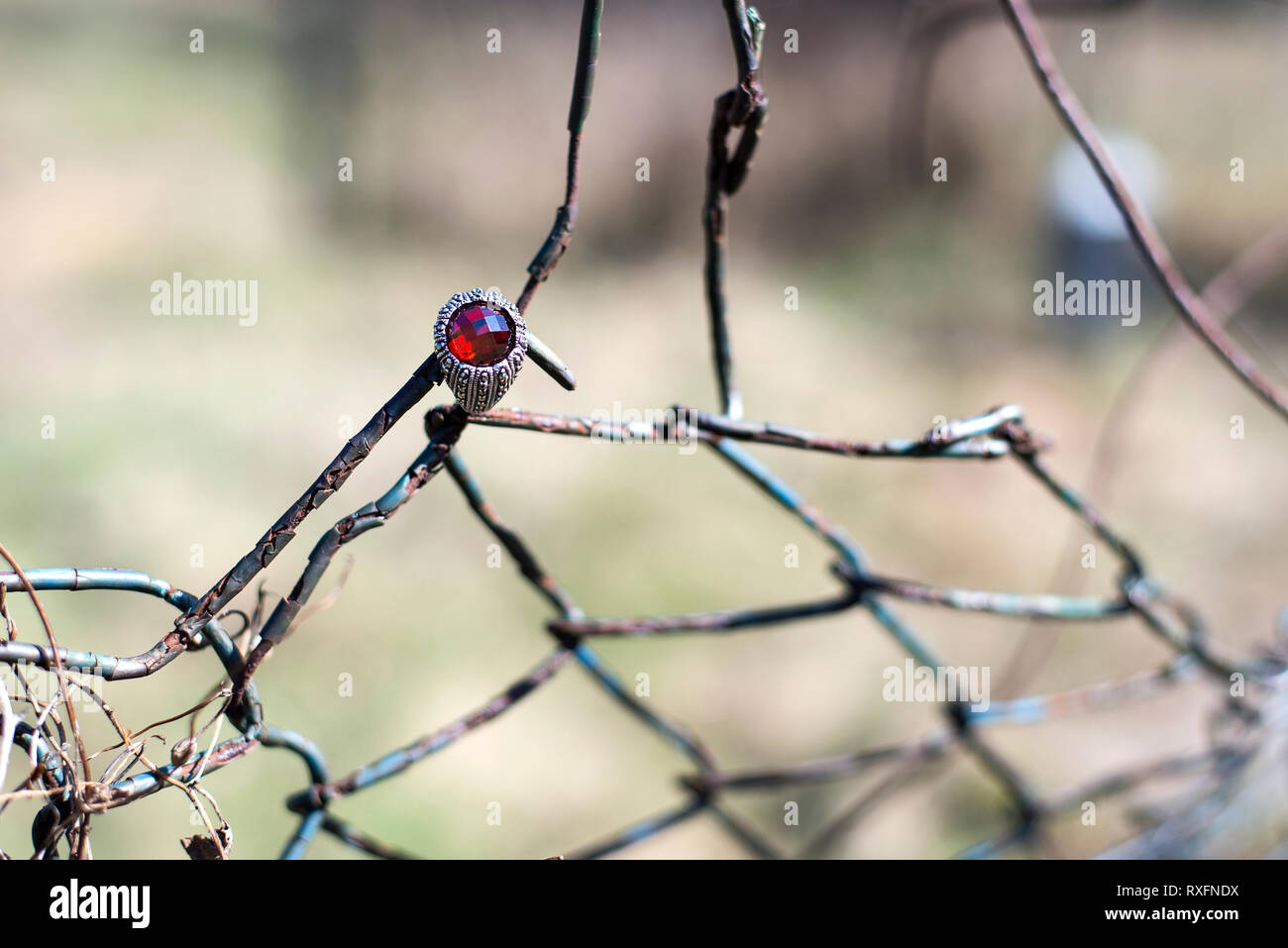 Ring in natural environment Stock Photo - Alamy