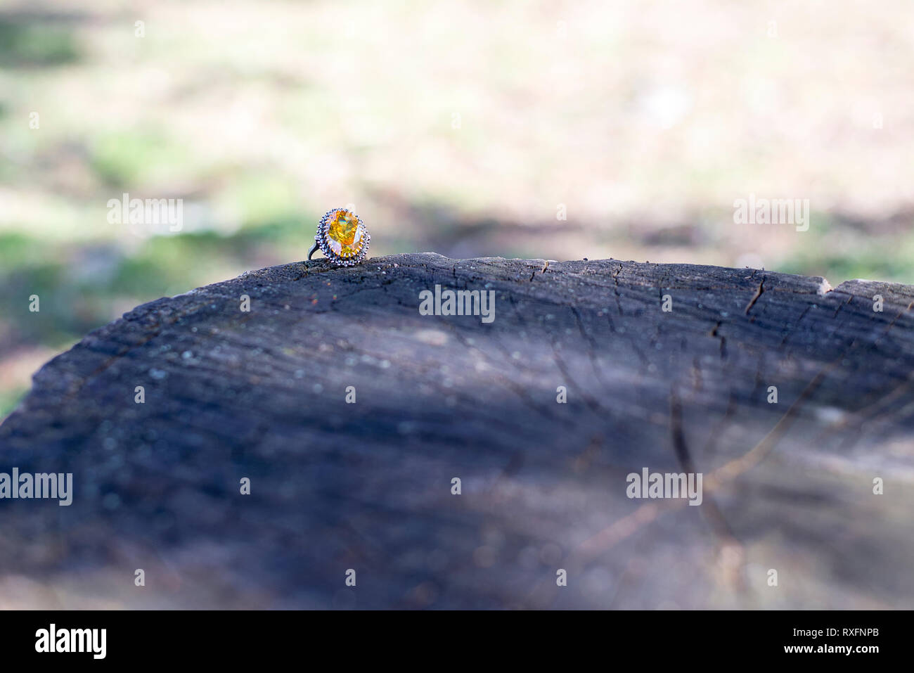 Ring in natural environment Stock Photo - Alamy