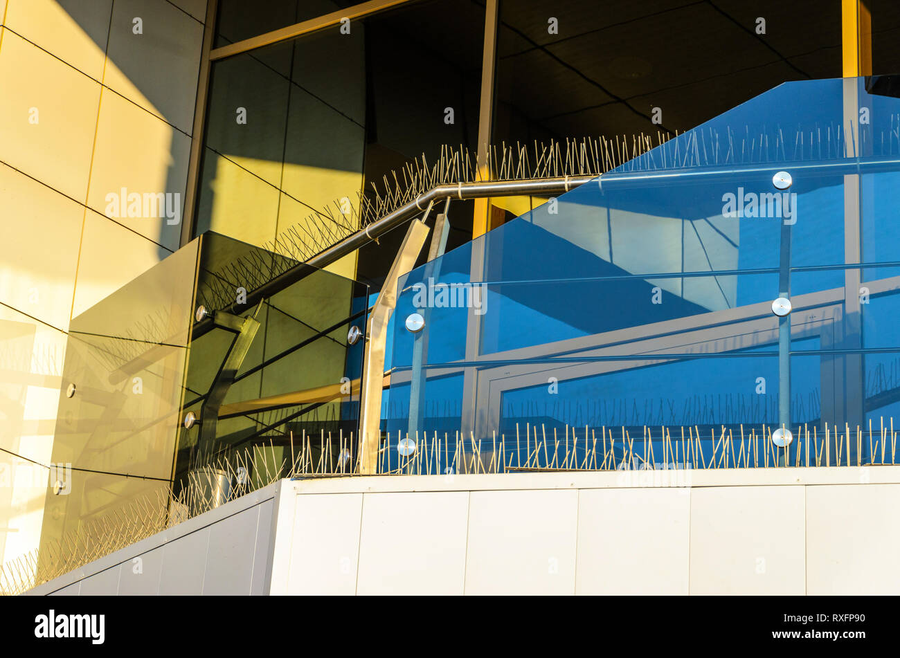 Bird spikes hi-res stock photography and images - Alamy