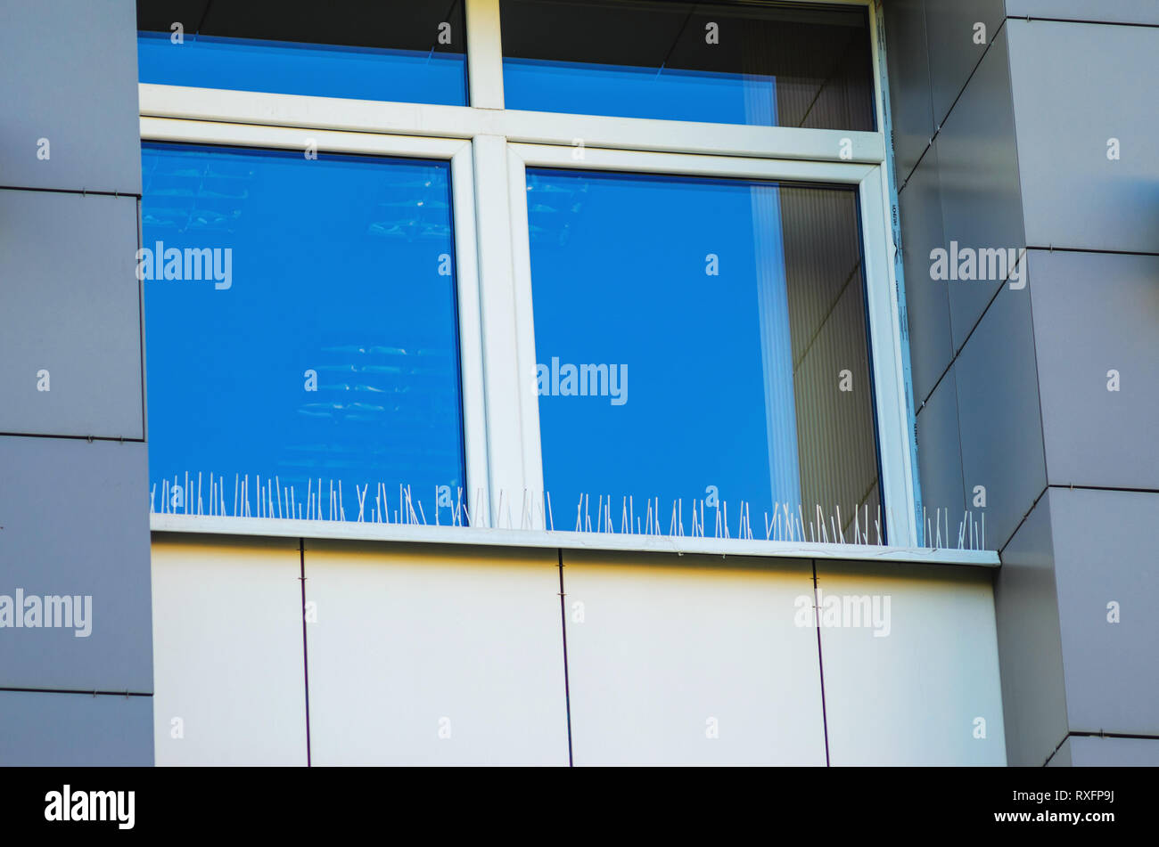 Anti-Bird Spikes on Modern Building . Spikes for Building Facades ...