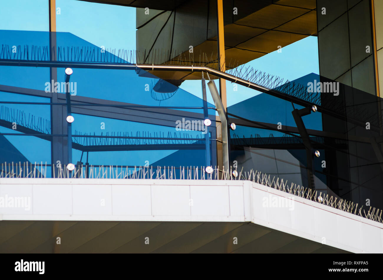 Anti-Bird Spikes on Modern Building . Spikes for Building Facades ...