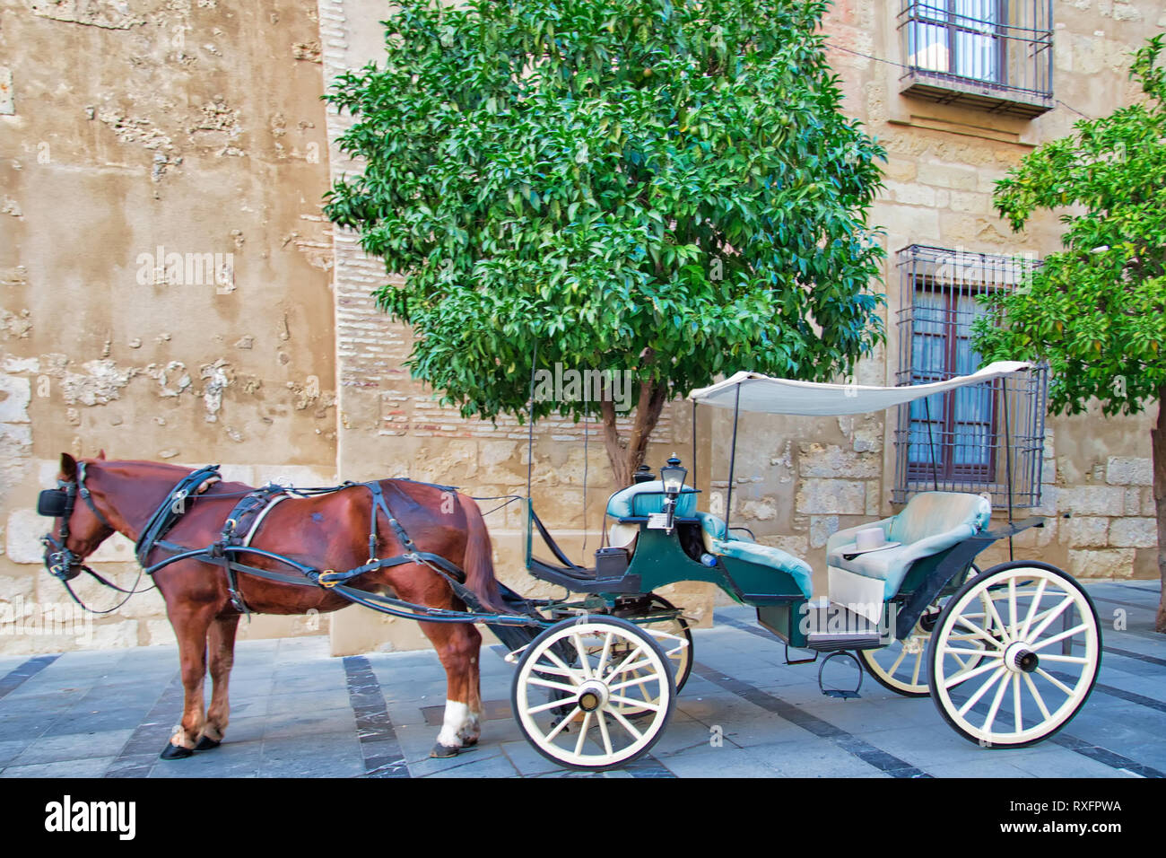 Spain, Horse carriage waiting for tourists near ancient Mezquita ...