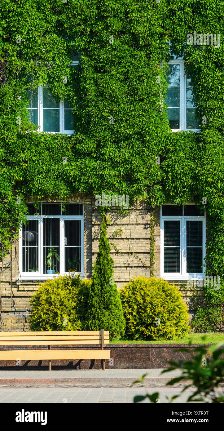 Self Beautification High Resolution Stock Photography and Images - Alamy