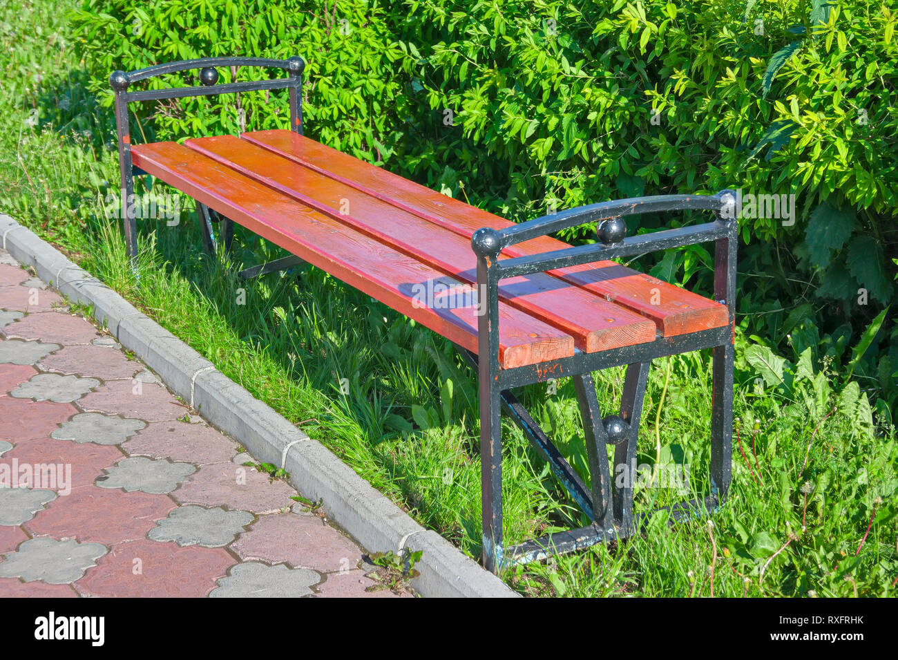 Blank Old wooden bench in a shady area of the garden or the park ...