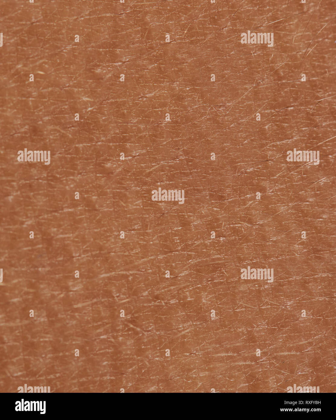 Human skin texture background. Caucasian person skin surface Stock ...