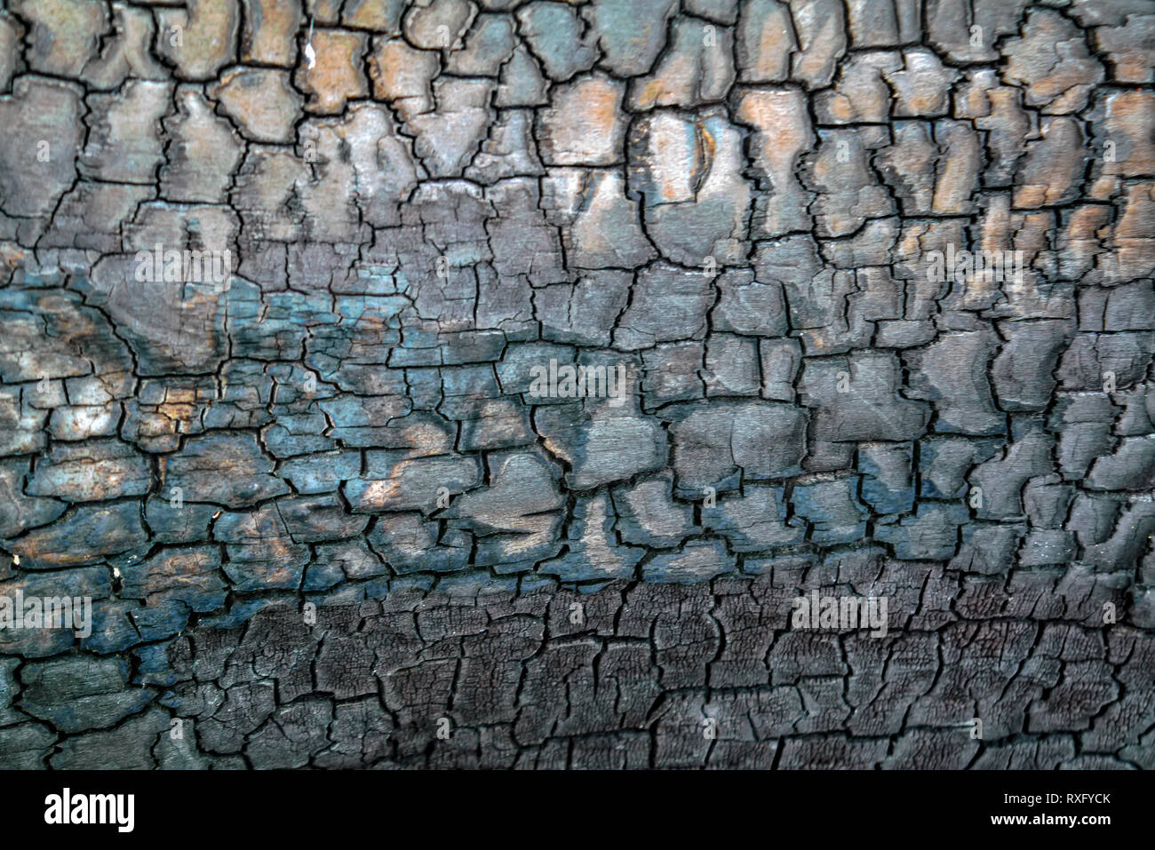 Charred wood texture hi-res stock photography and images - Alamy