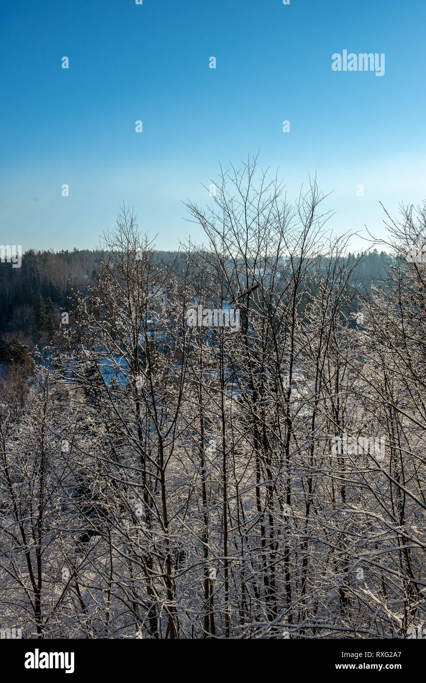frozen winter landscape with forests and fields covered in snow in ...