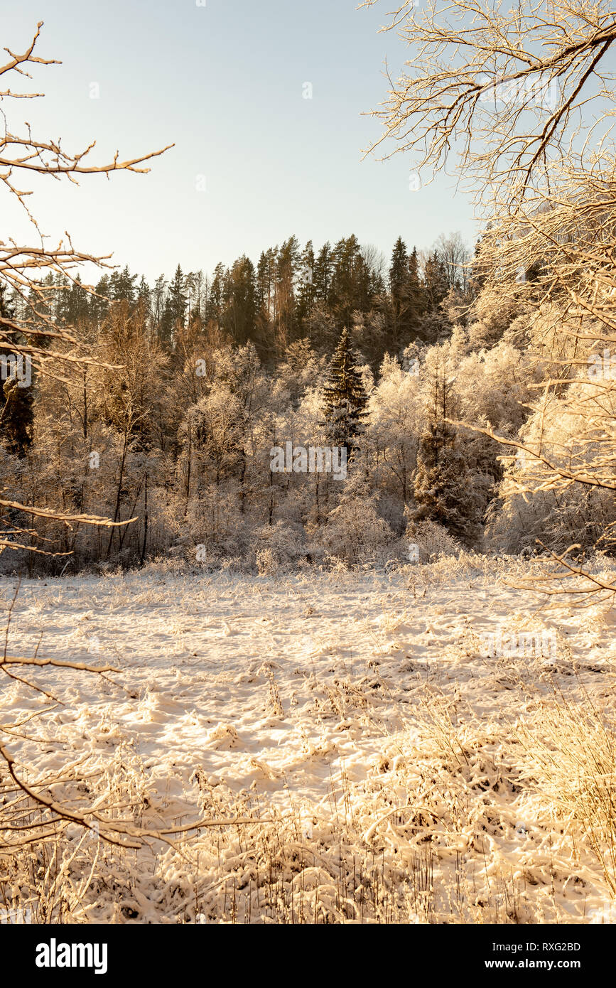 frozen winter landscape with forests and fields covered in snow in ...