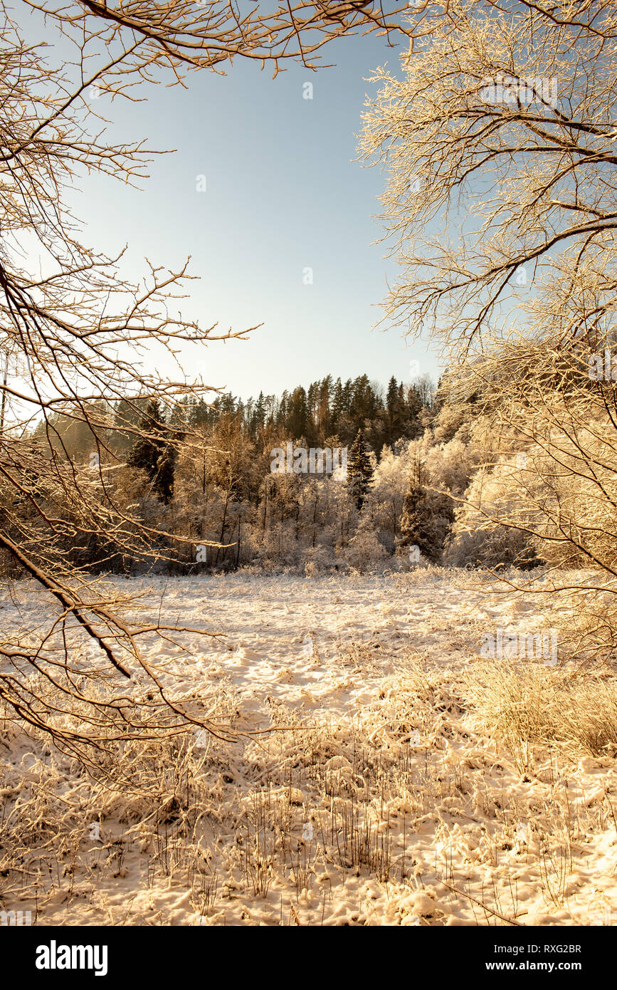 frozen winter landscape with forests and fields covered in snow in ...