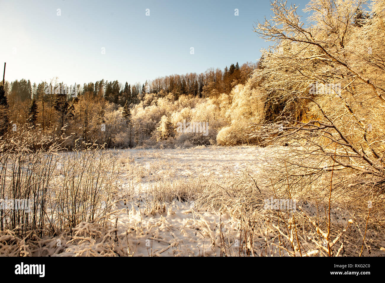 frozen winter landscape with forests and fields covered in snow in ...