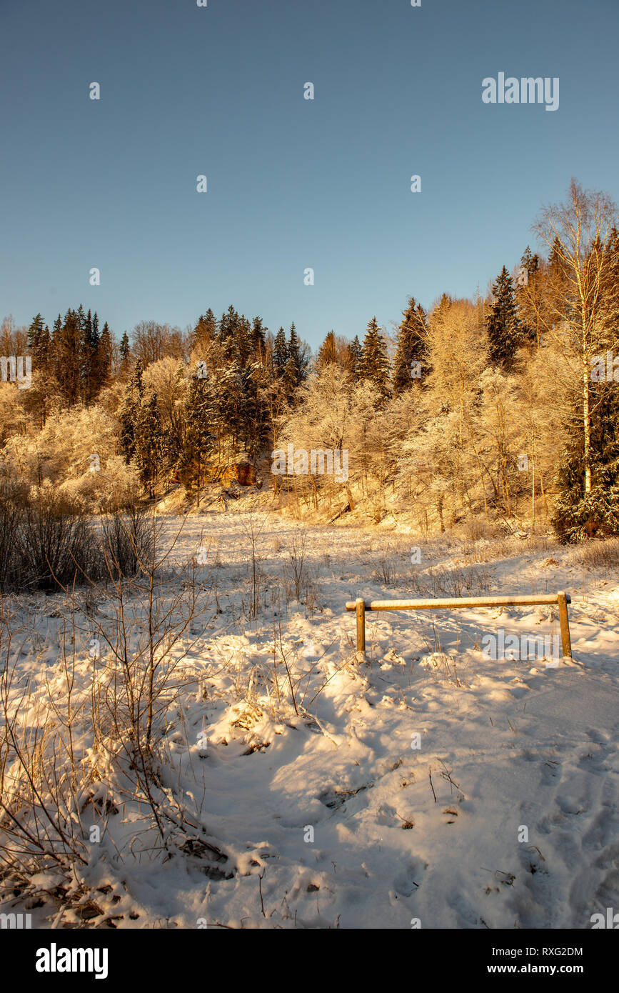 frozen winter landscape with forests and fields covered in snow in ...