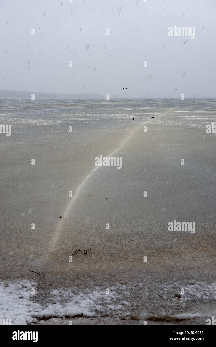 frozen bodies of water in deep winter under snow. trees frozen in ice ...
