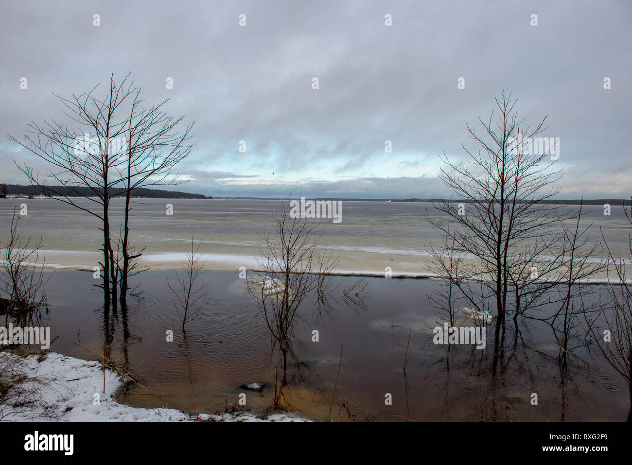 frozen bodies of water in deep winter under snow. trees frozen in ice ...