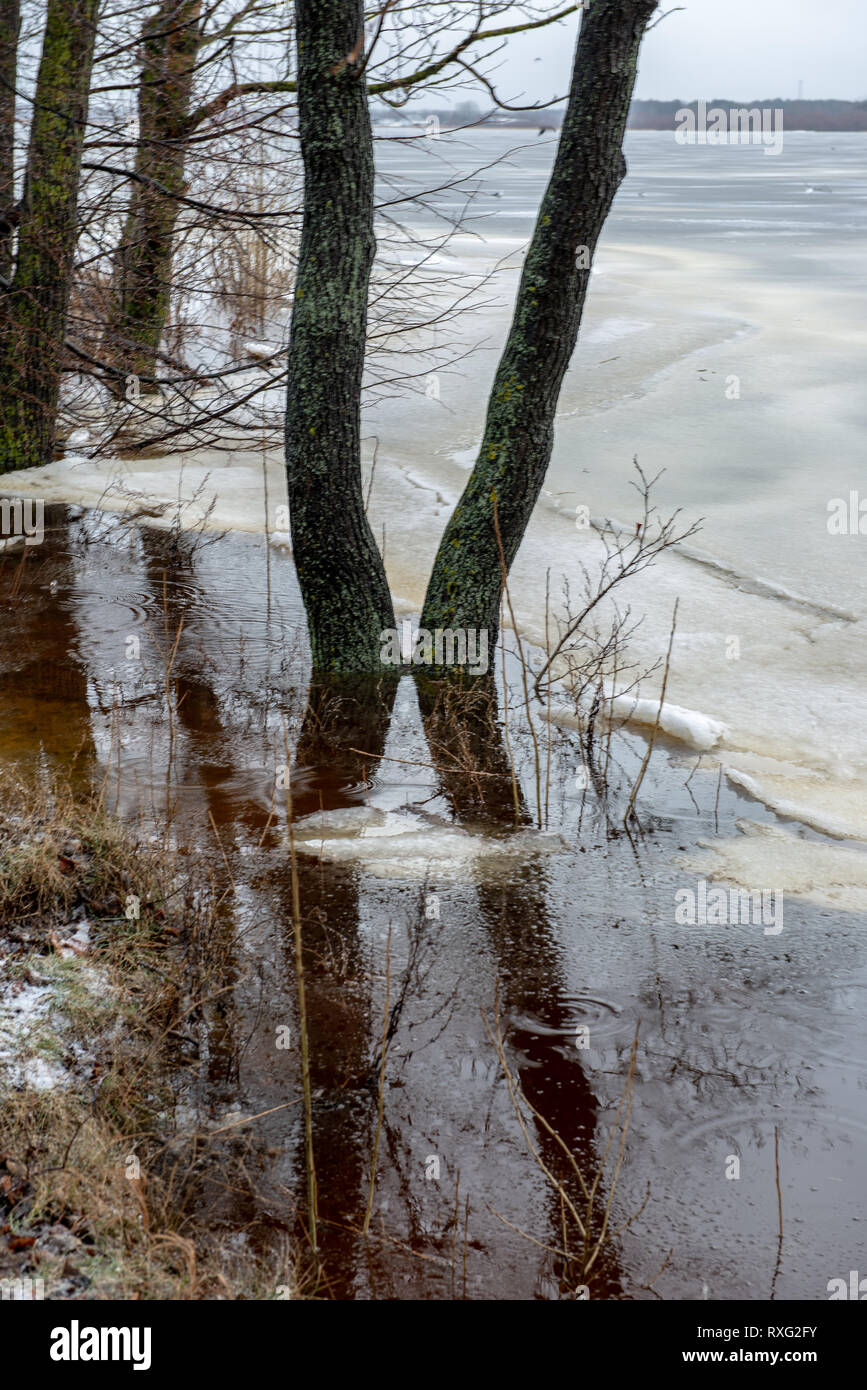 frozen bodies of water in deep winter under snow. trees frozen in ice ...