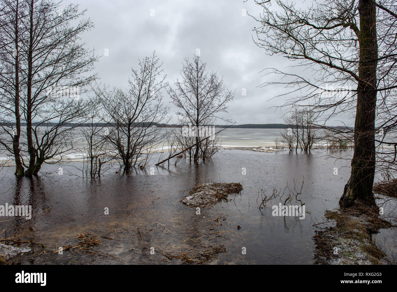 frozen bodies of water in deep winter under snow. trees frozen in ice ...