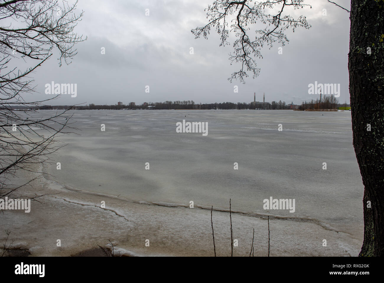 frozen bodies of water in deep winter under snow. trees frozen in ice ...
