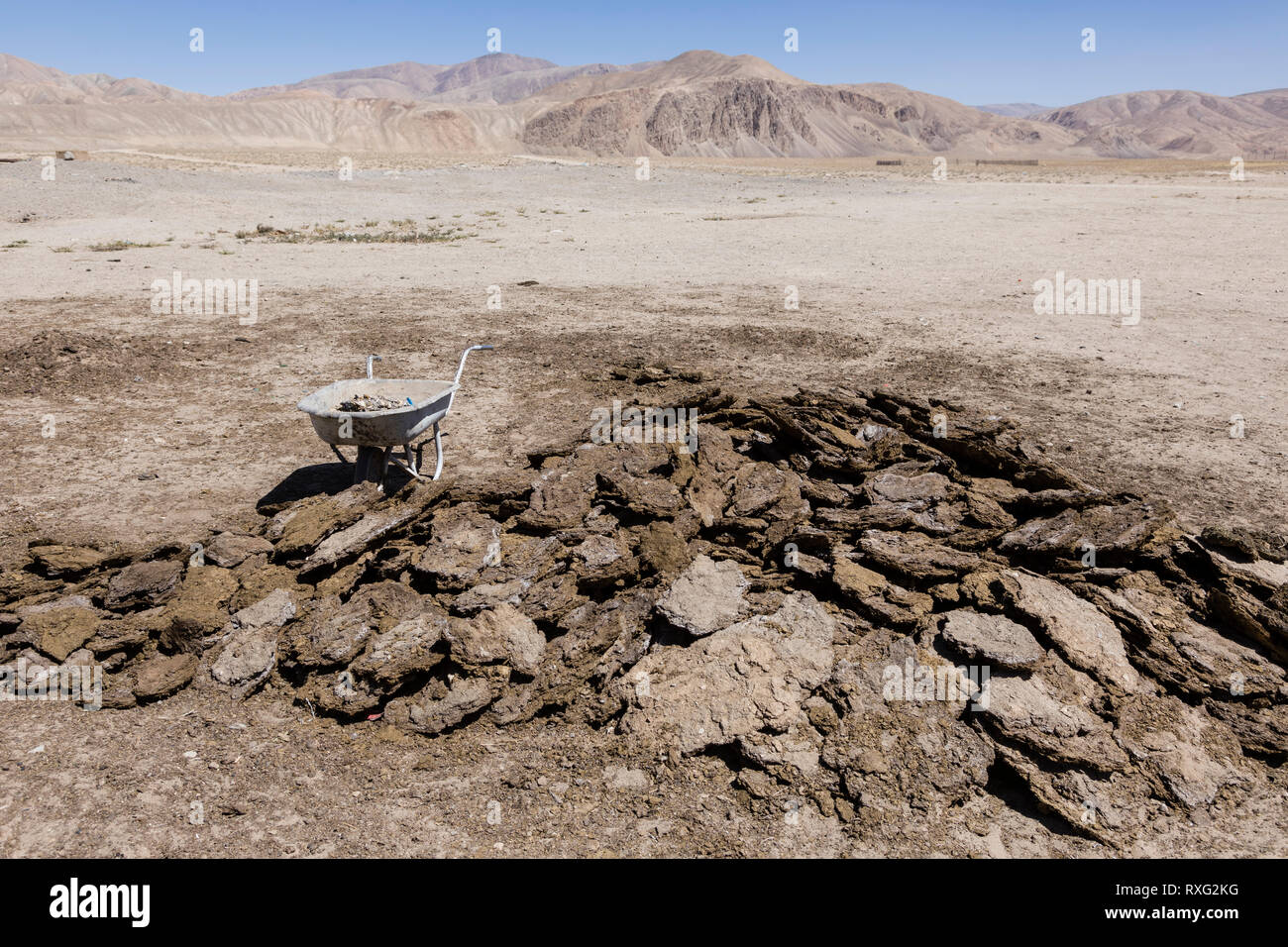 Dried cow dung in Bulunkul in Tajikistan. With the cow dung, the ...