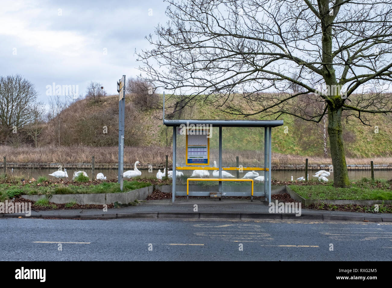 Into the wild bus hi-res stock photography and images - Alamy