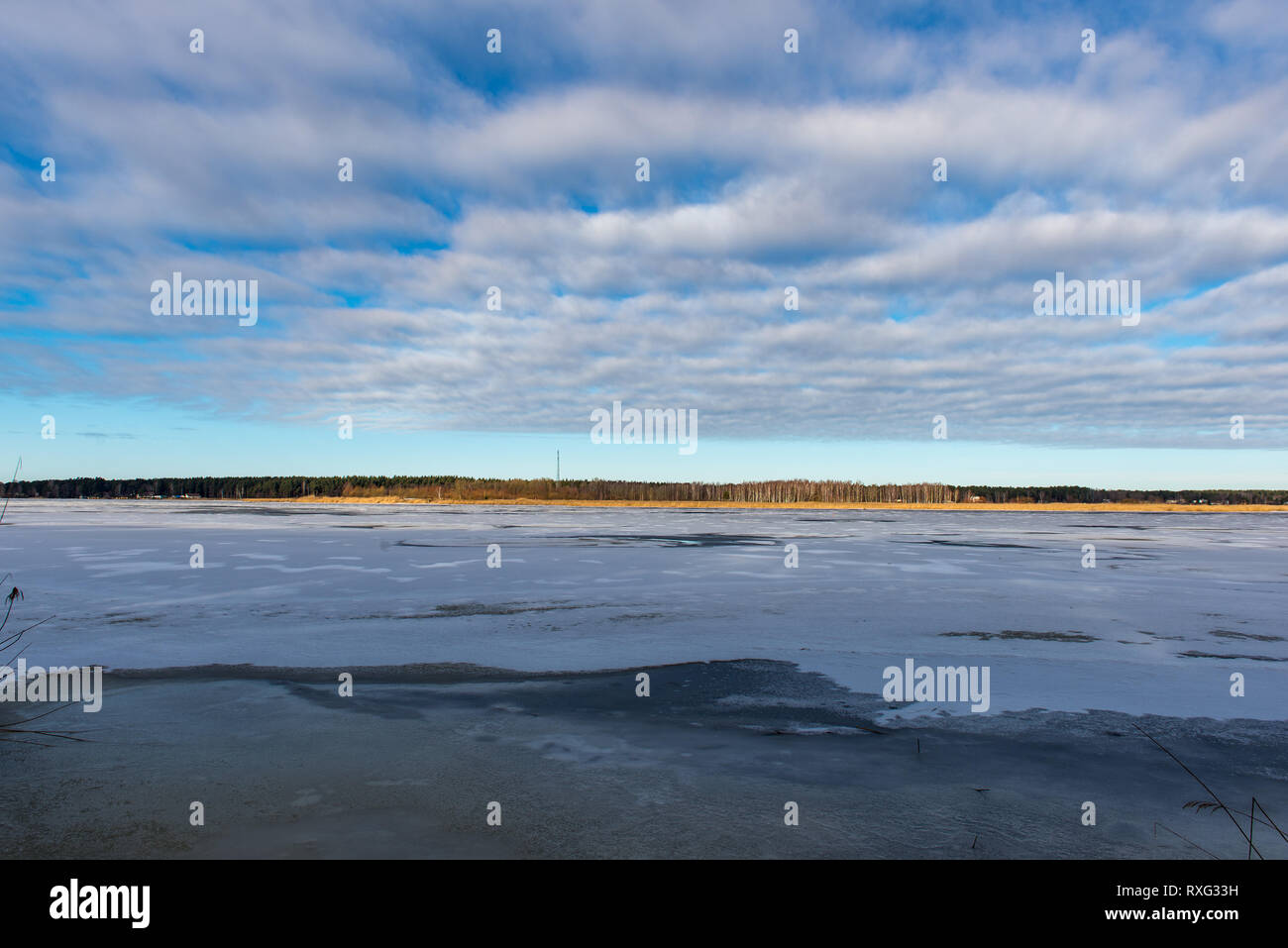 frozen bodies of water in deep winter under snow. trees frozen in ice ...