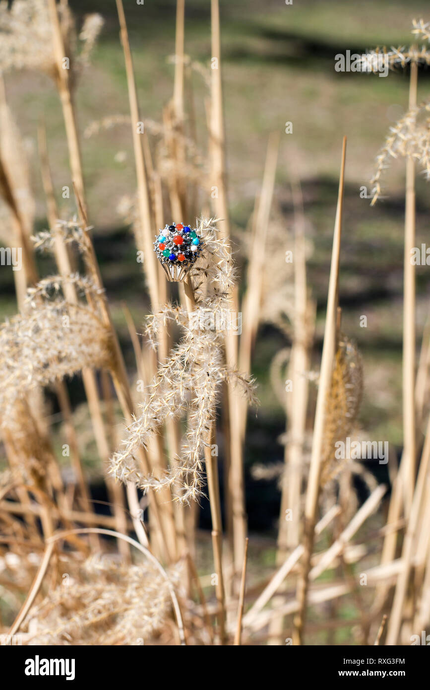 Ring in natural environment Stock Photo - Alamy