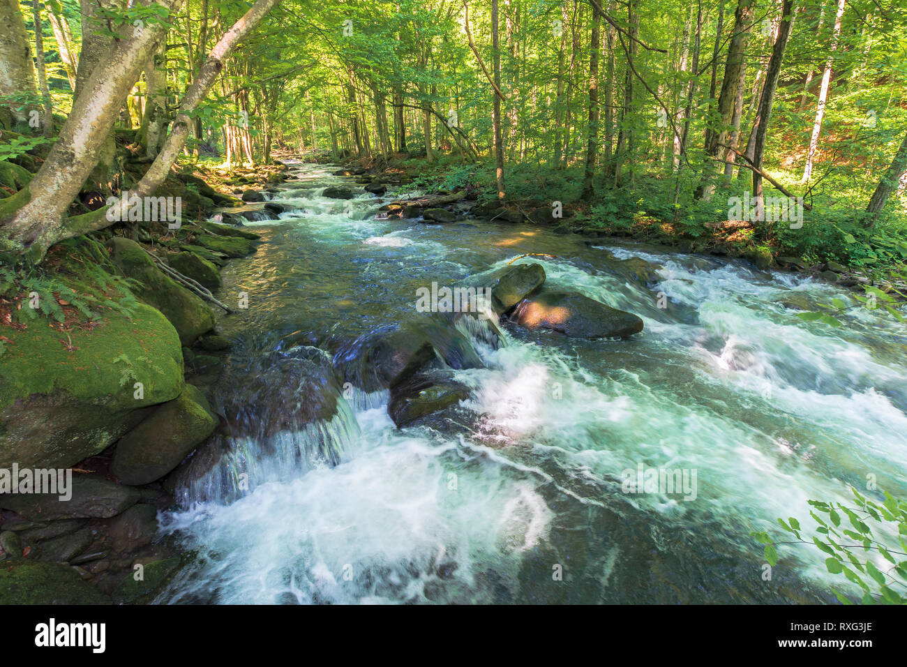 cascades on the forest creek in springtime. beautiful nature scenery ...