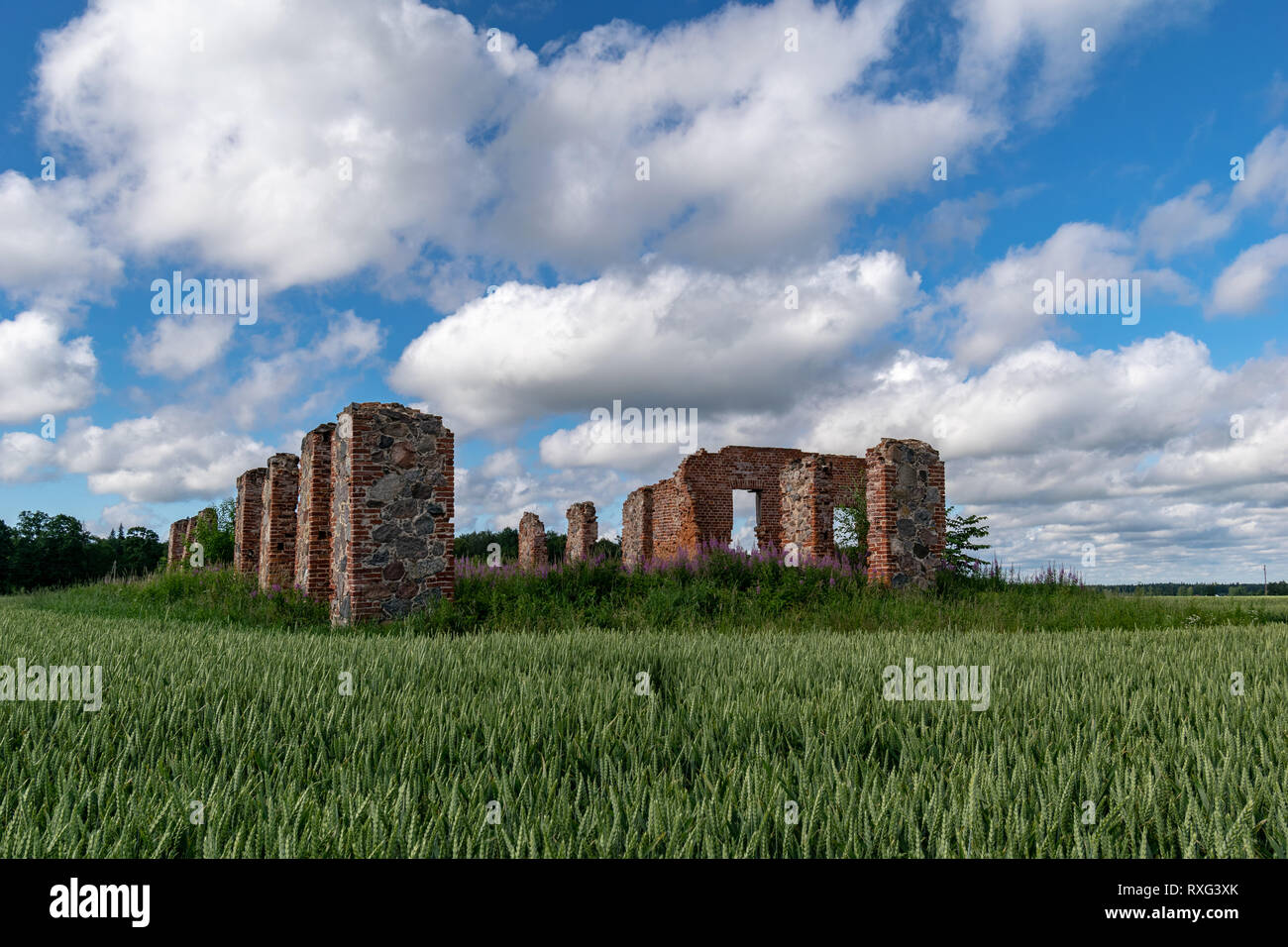 ancient stone building castle details. ruins in nature near water Stock ...