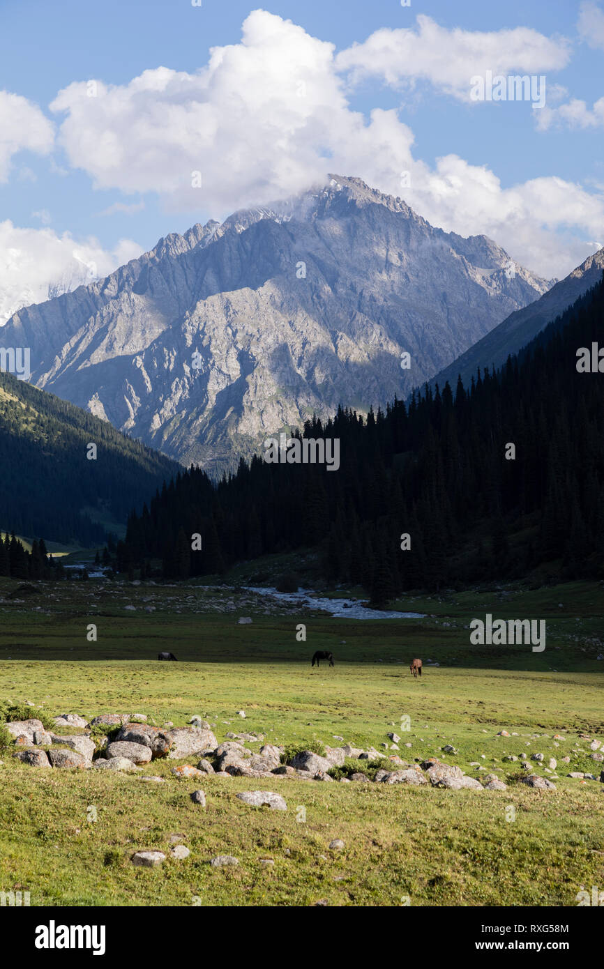 Trek to altyn arashan hi-res stock photography and images - Alamy