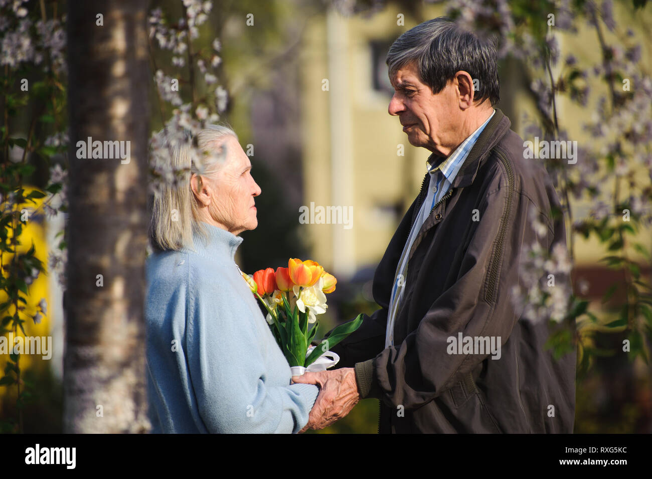 beautiful happy old people walking in the spring park Stock Photo - Alamy