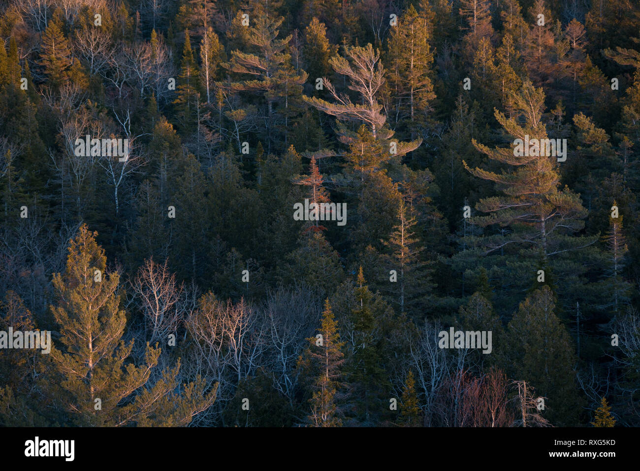 Bruce Peninsula National Park, Bruce County, Ontario, Canada Stock ...
