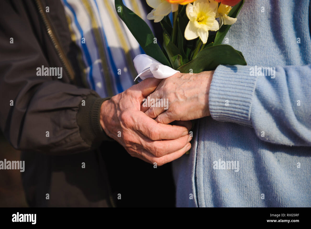 beautiful happy old people sitting in the spring park Stock Photo - Alamy