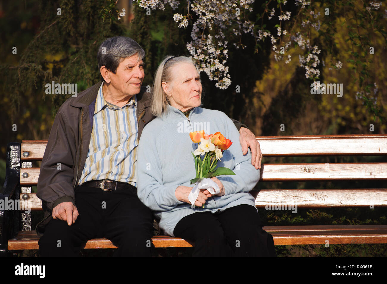 beautiful happy old people sitting in the spring park Stock Photo - Alamy