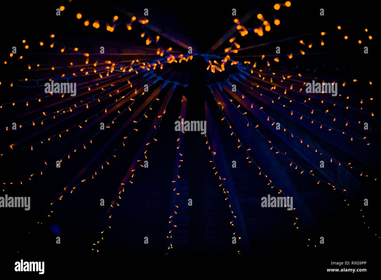 A collection of small little orange lights at a wedding Stock Photo - Alamy