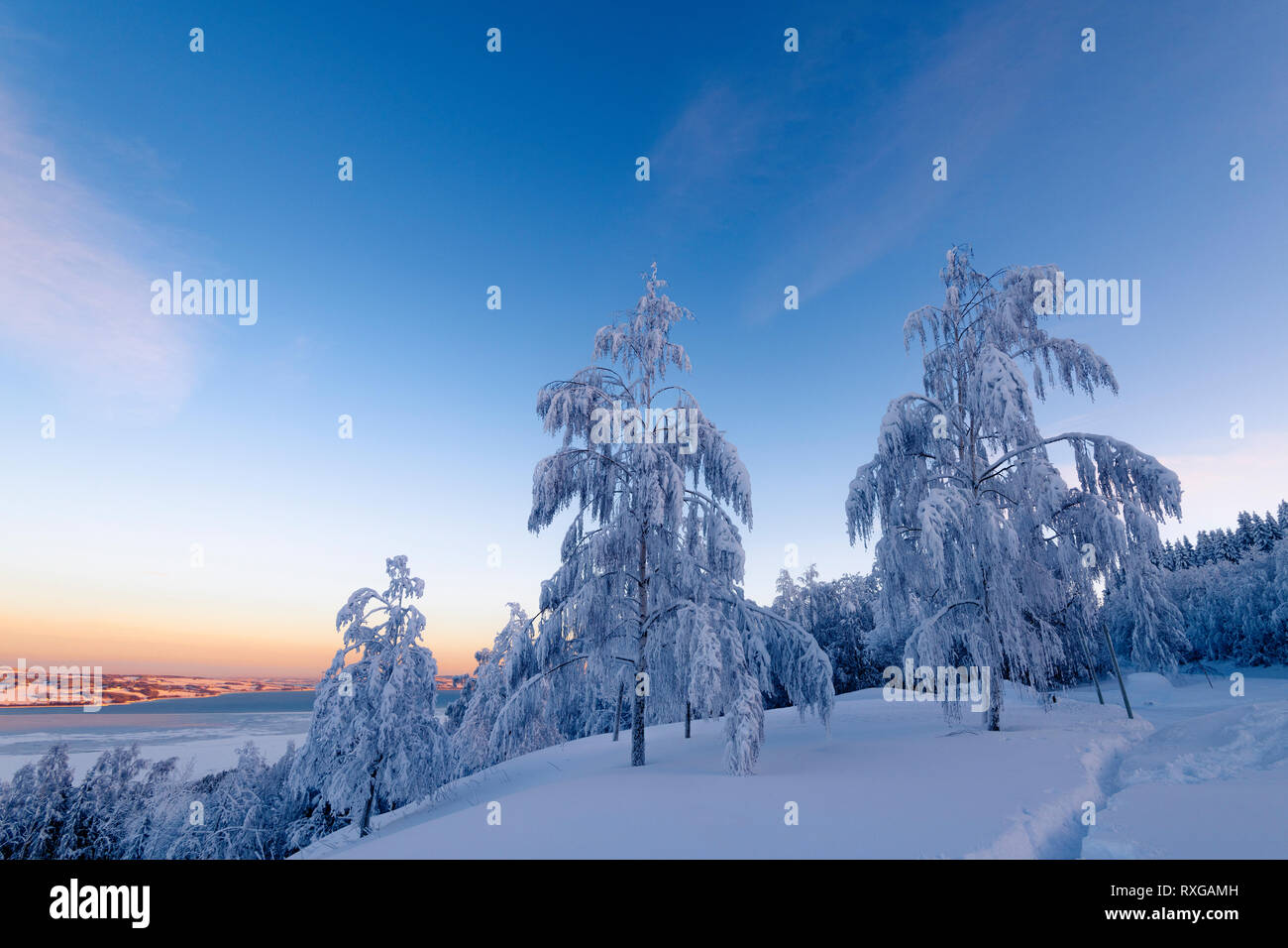 Snow landscape, Norway Stock Photo - Alamy