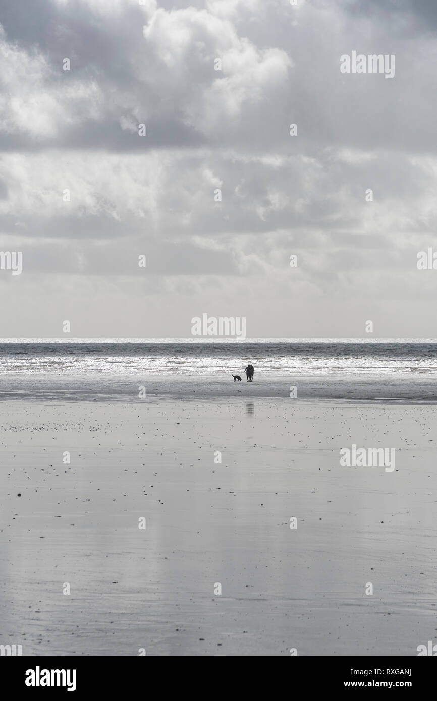 Dog walker silhouette hi-res stock photography and images - Alamy