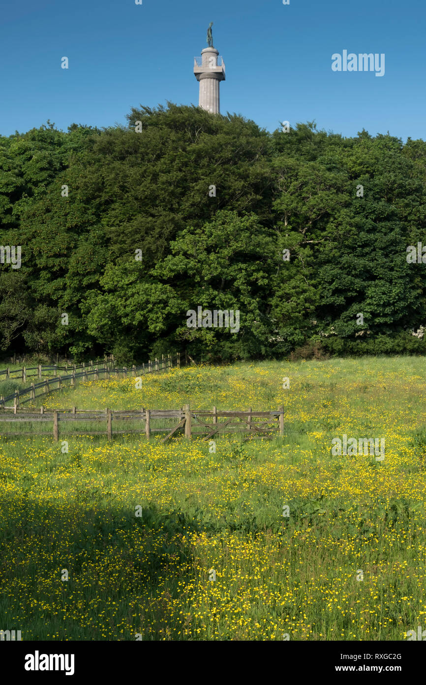 The Marquess of Anglesey's Column (also known as Anglesey Column), near ...