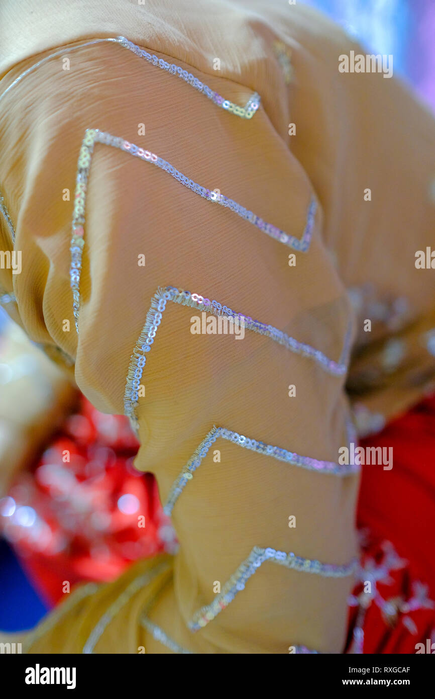 Detail shot of Pakistani bridal dress embroidery Stock Photo - Alamy