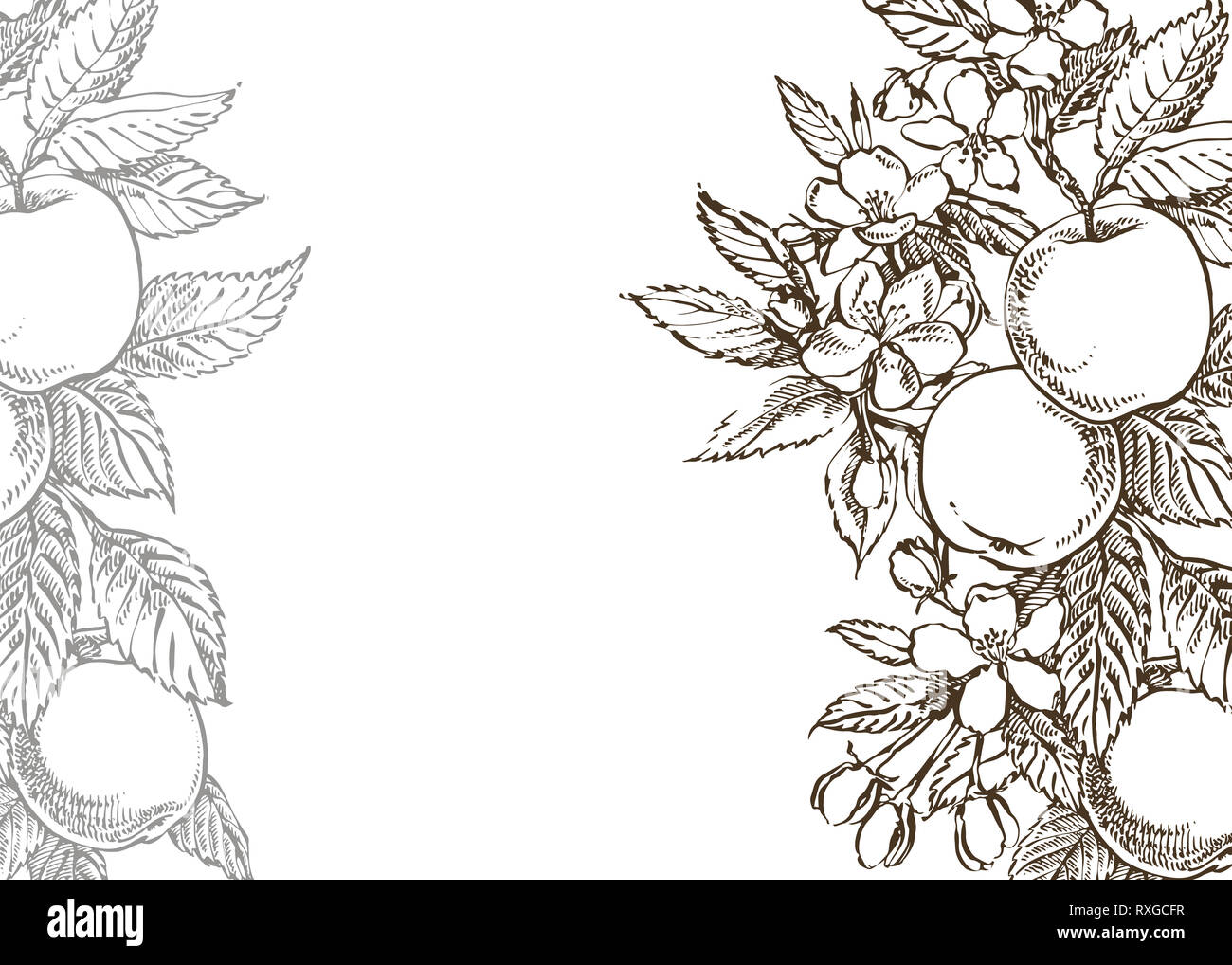Apple Border Black And White