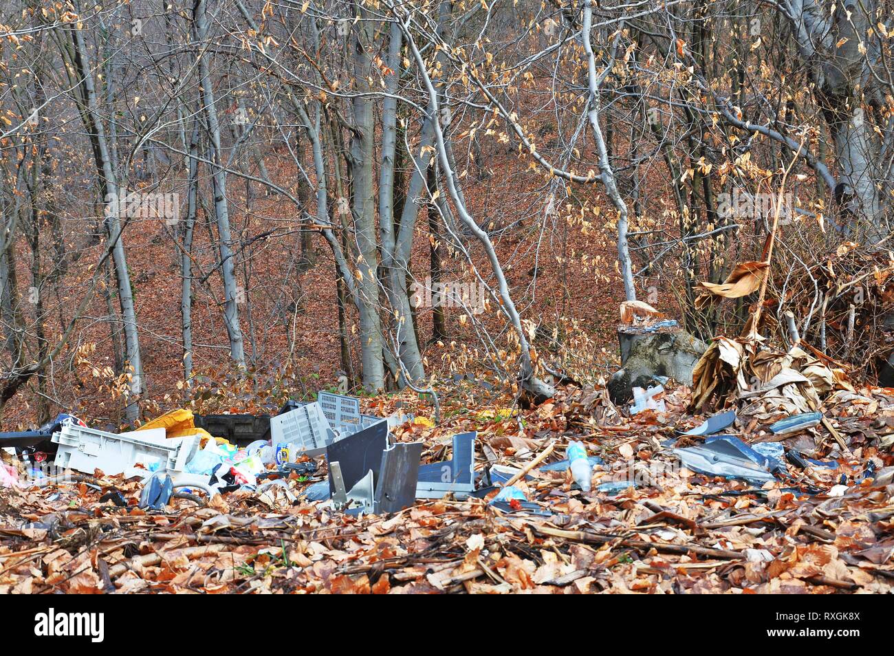 Rubbish in nature hi-res stock photography and images - Alamy