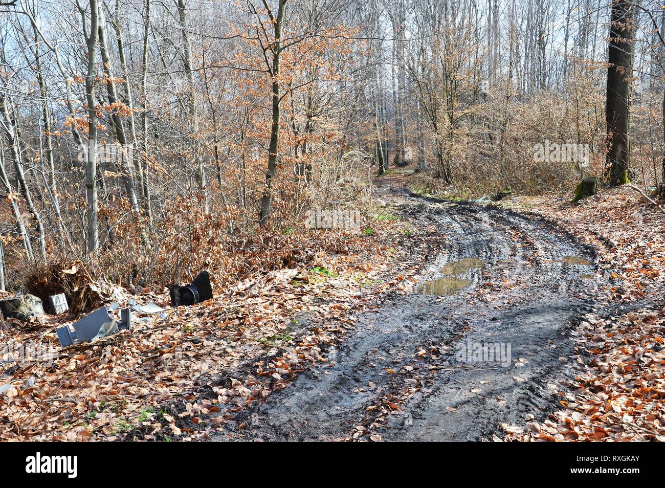 Garbage and rubbish in nature that man throus Stock Photo - Alamy