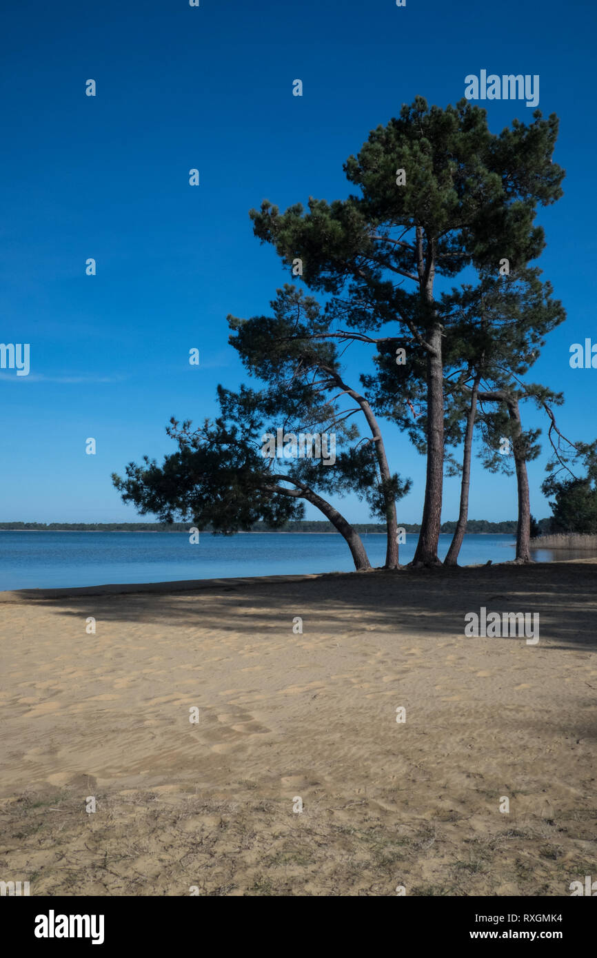 The Beach at Sanguinet Stock Photo - Alamy