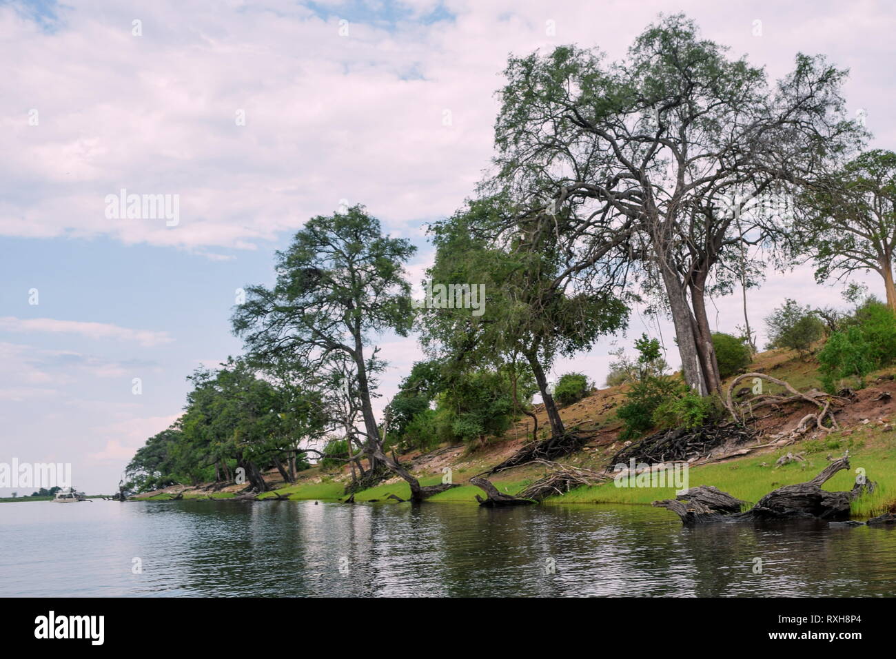 Sunset cruise at Chobe River, Botswana Stock Photo - Alamy