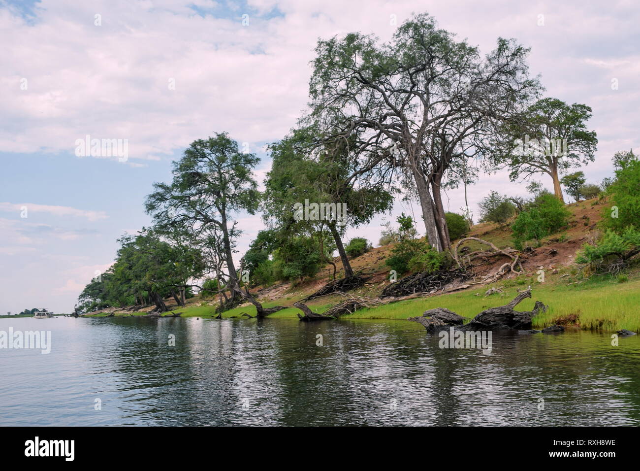 Sunset cruise at Chobe River, Botswana Stock Photo - Alamy