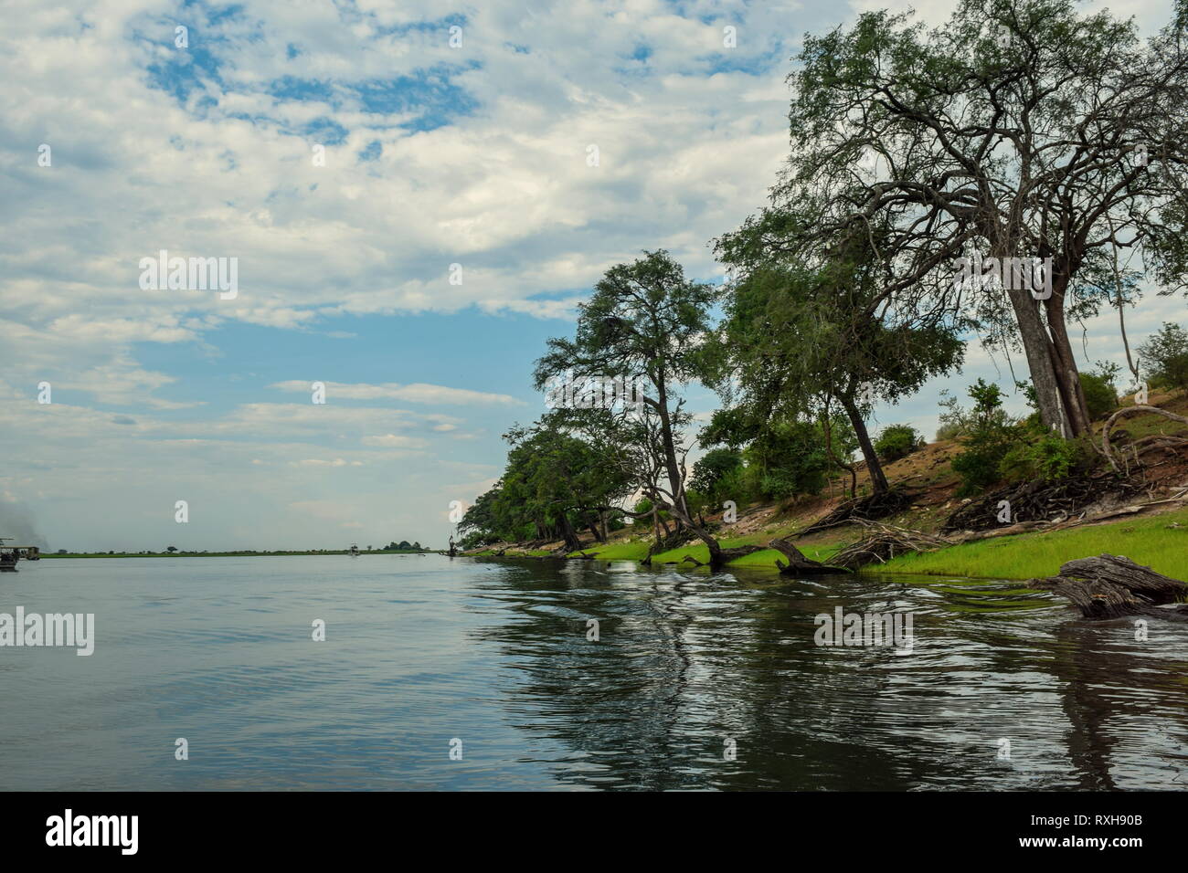 Sunset cruise at Chobe River, Botswana Stock Photo - Alamy