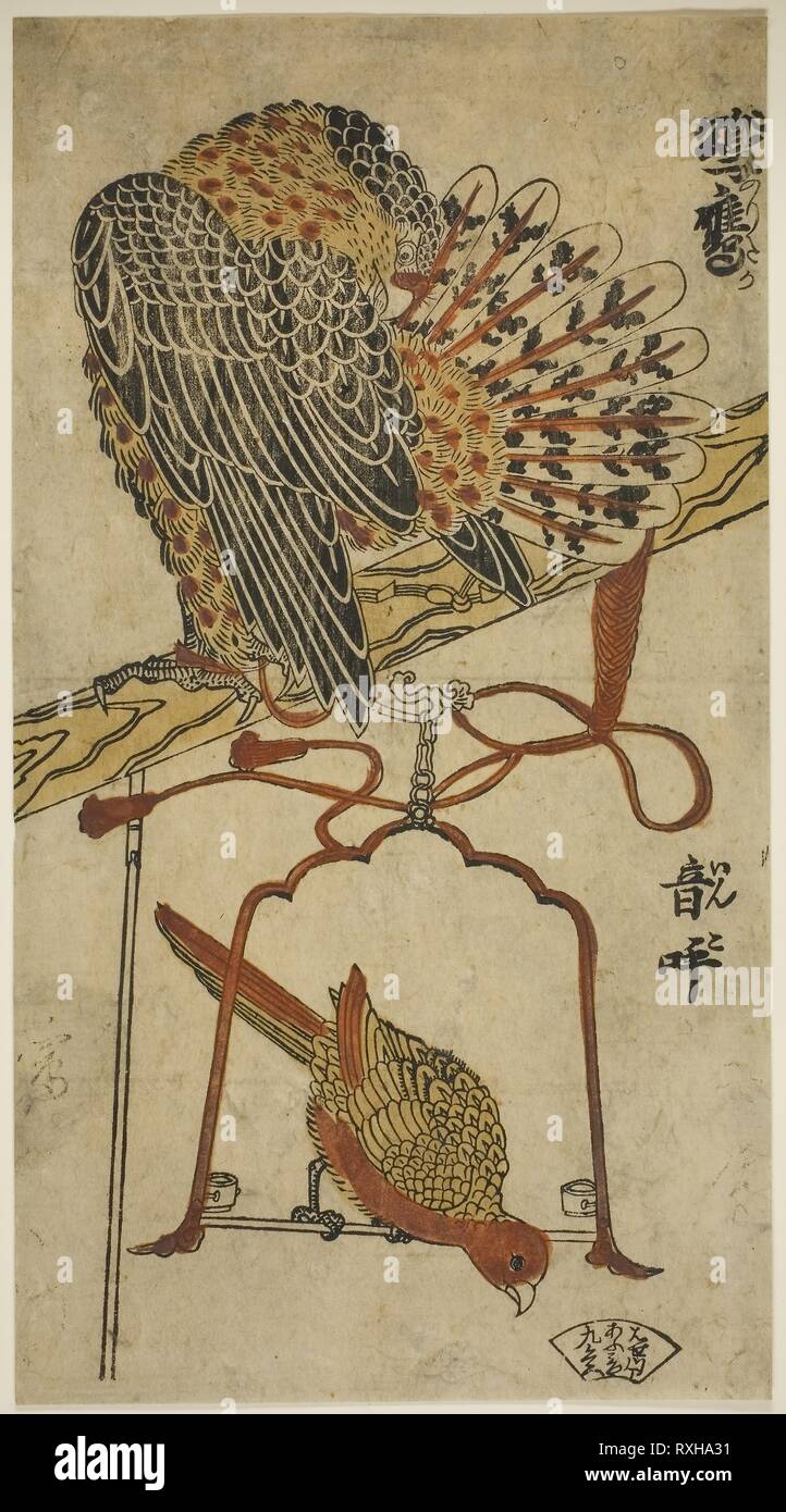 Sparrowhawk and Macaw (Konori taka, inko). Attributed to Torii Kiyomasu ...