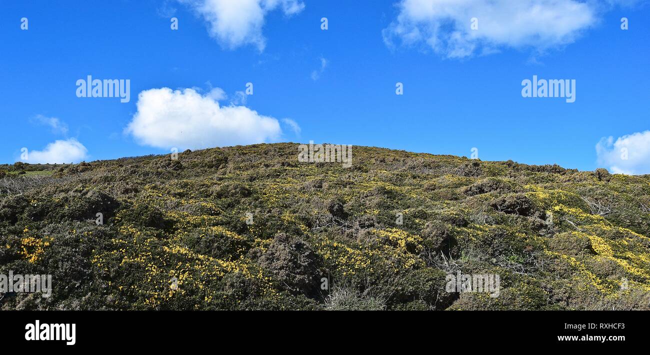 Vault beach cornwall hi-res stock photography and images - Alamy