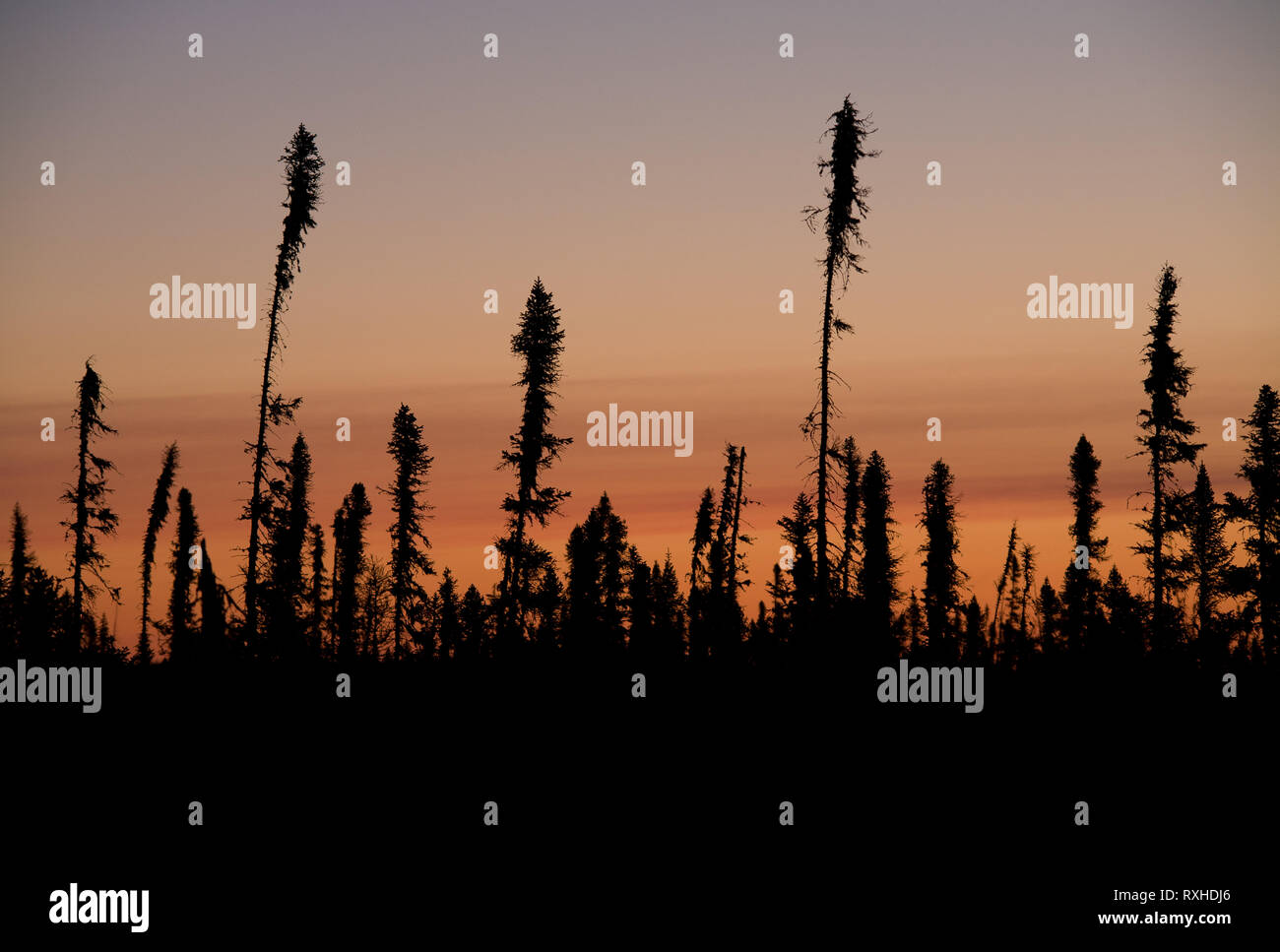 Municipalité de Baie-James, Eeyou Istchee James Bay Territory, Quebec ...