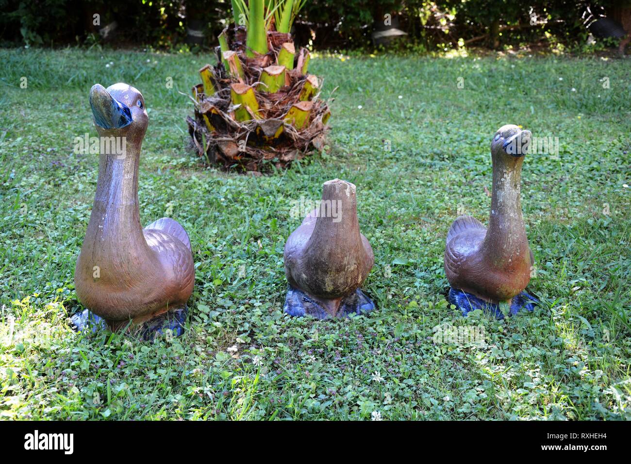 three statues of ducks on the grass, one without head Stock Photo - Alamy