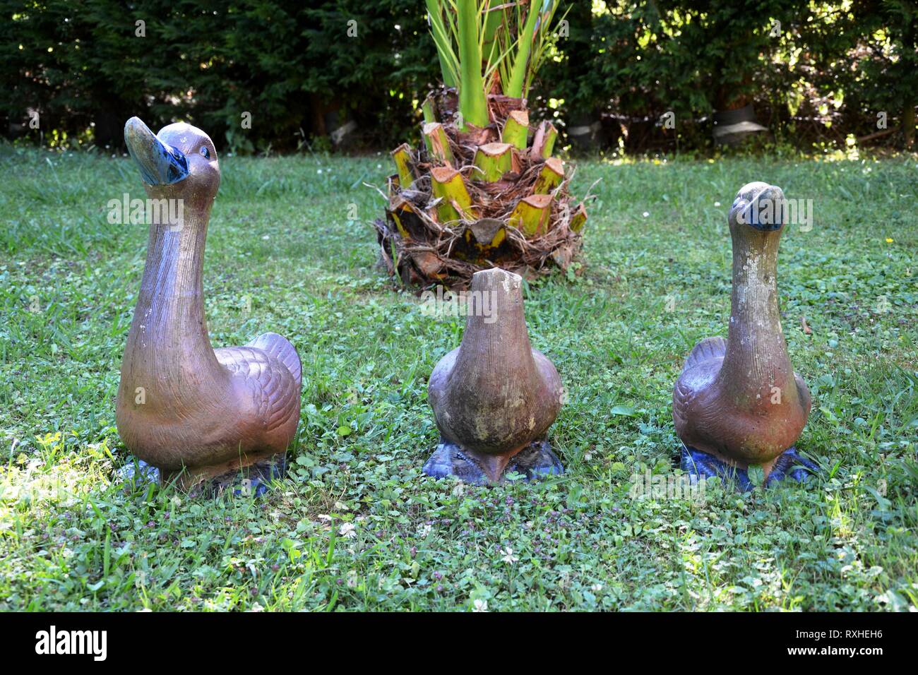 Statue duck hi-res stock photography and images - Alamy