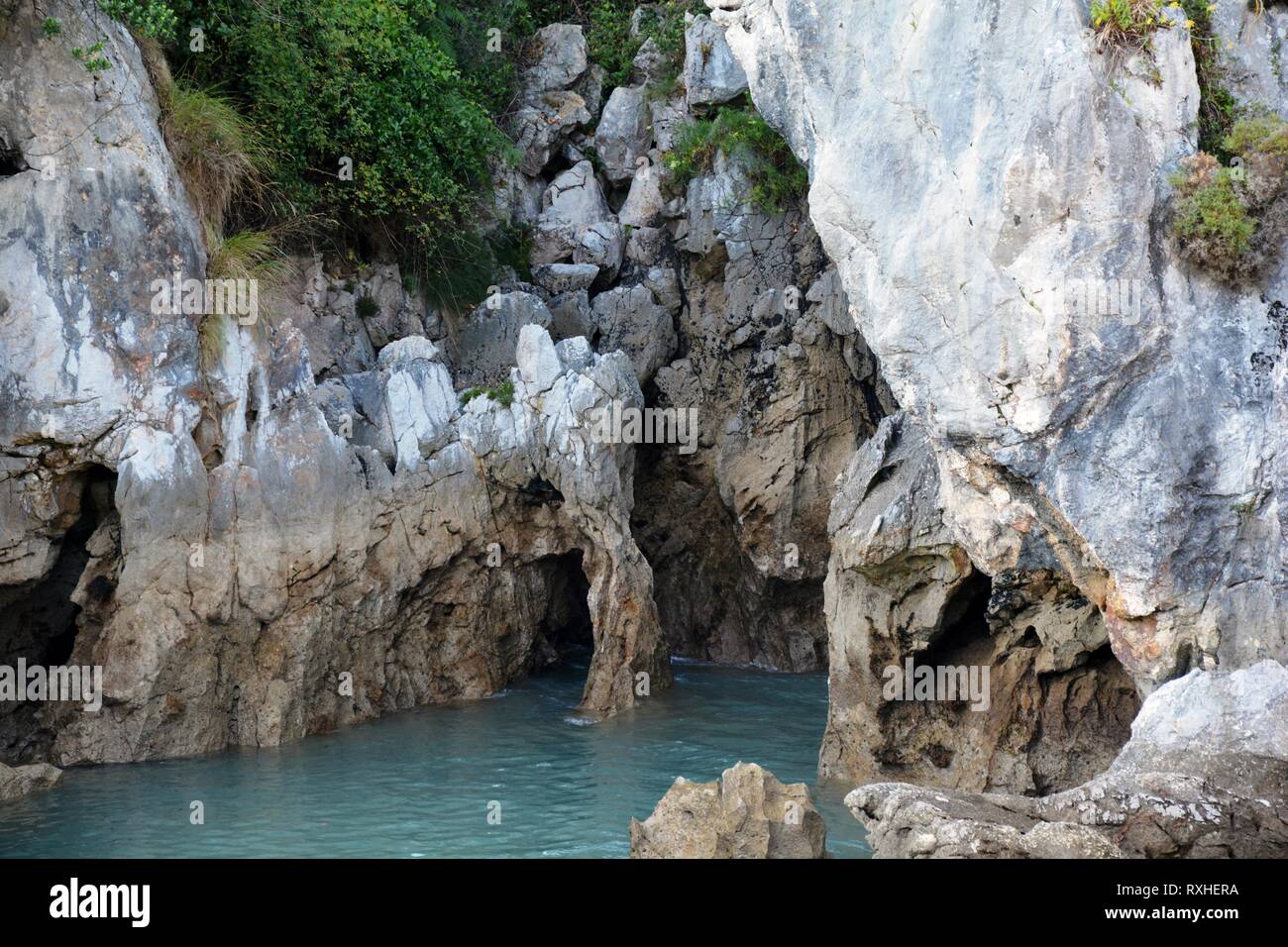 water, plants and rocks in a cove Stock Photo - Alamy